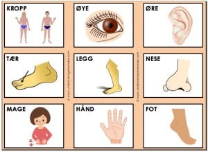 Rimord - UNDERVISNINGSMETODER