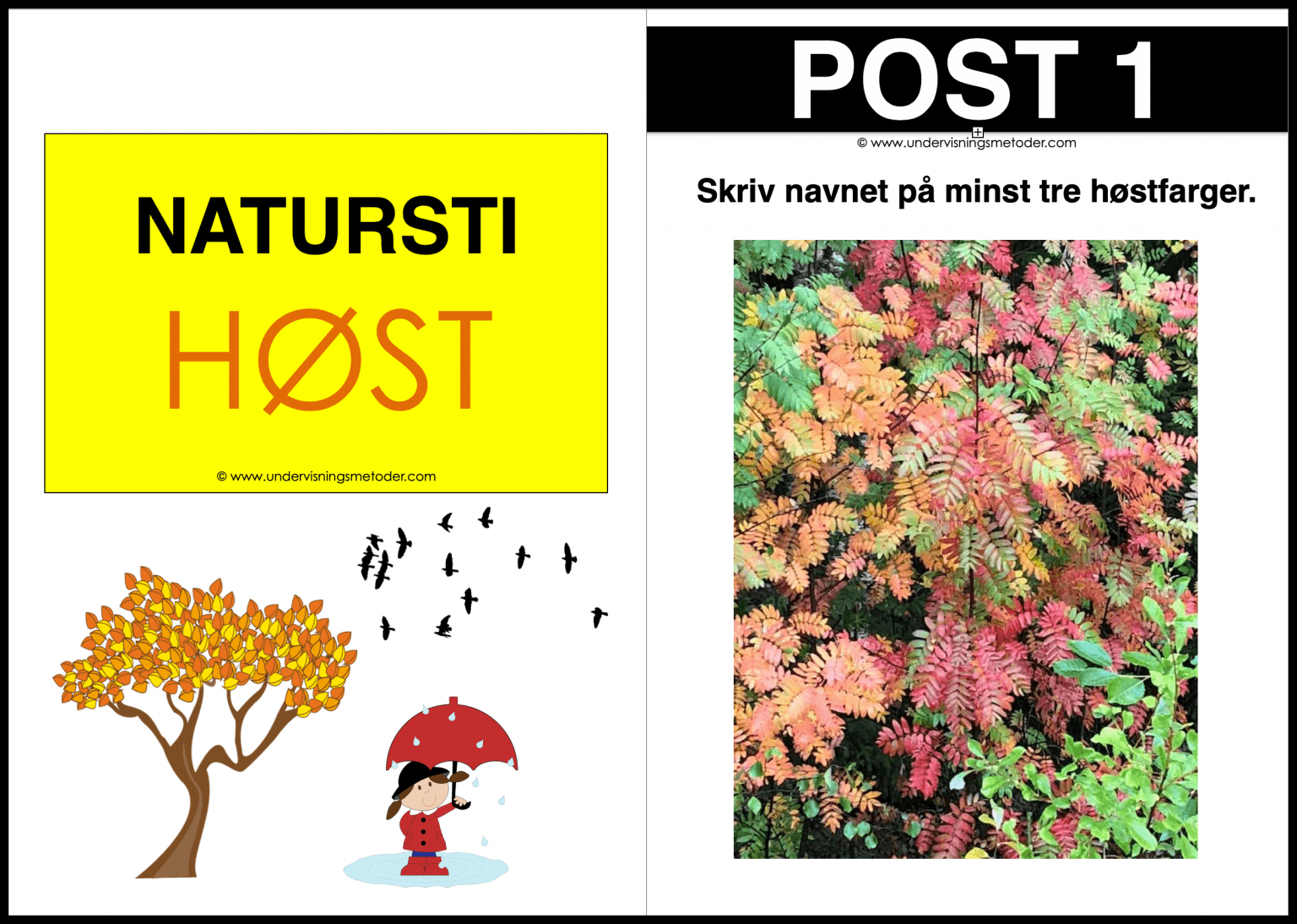 Uteskole: Natursti - høsten - UNDERVISNINGSMETODER