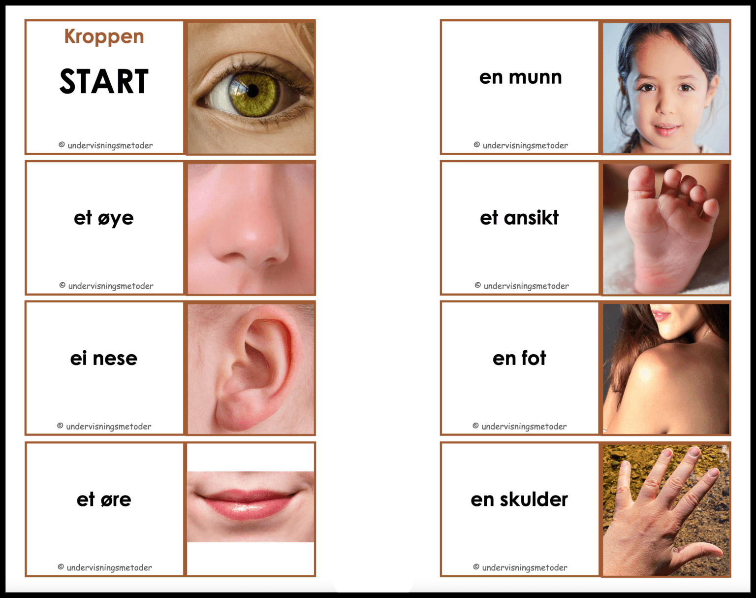 Kroppen, ytre kroppsdeler - UNDERVISNINGSMETODER