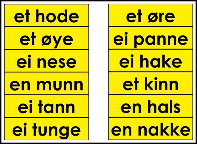 Kroppen, ytre kroppsdeler - UNDERVISNINGSMETODER