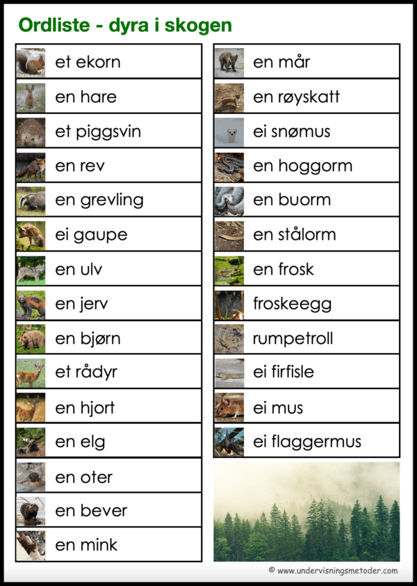 Skogsdyr - UNDERVISNINGSMETODER