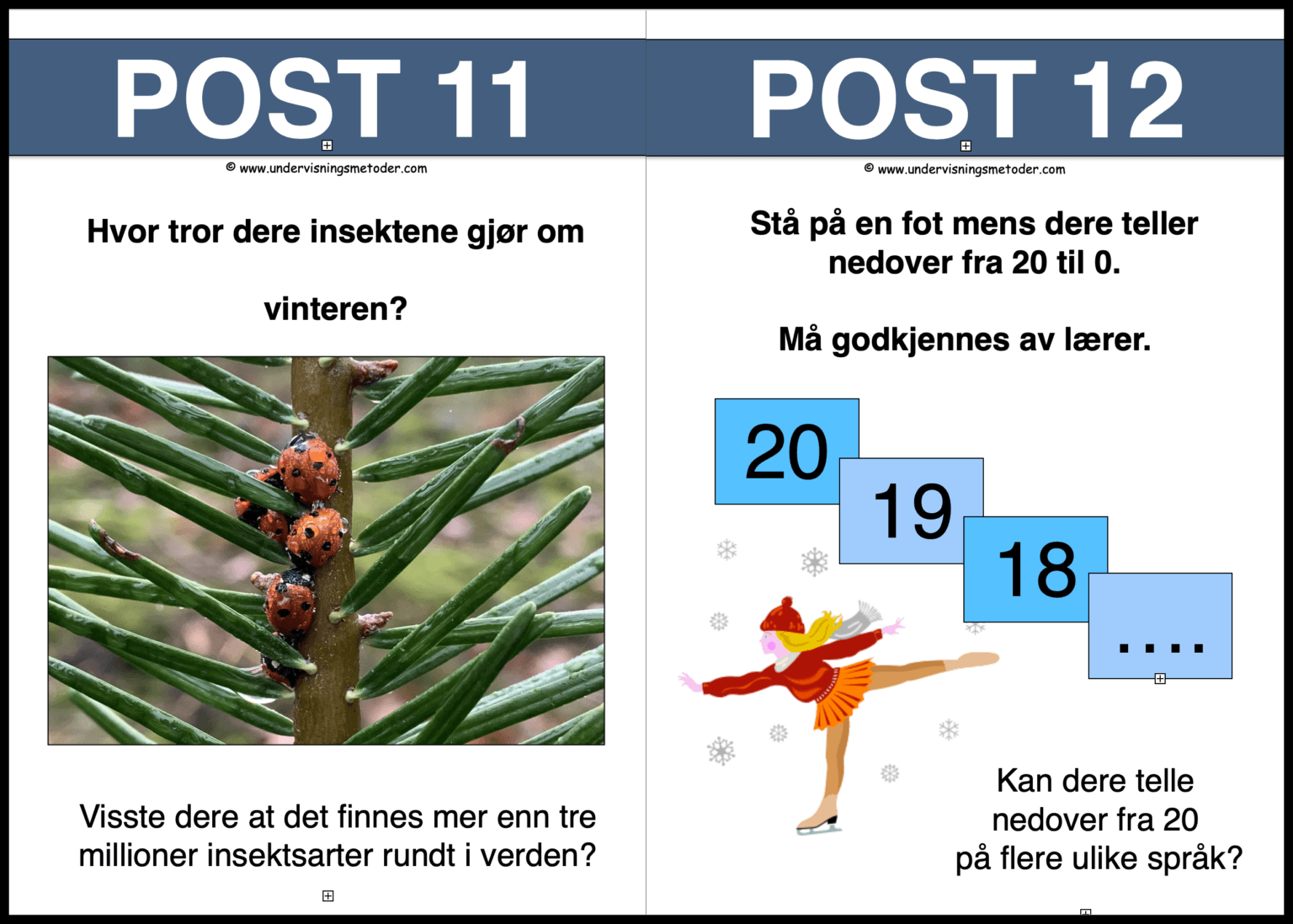 NATURSTI: ÅRSTIDEN VINTER - 15 poster om dyr, fugler, insekter, vær & klær! - UNDERVISNINGSMETODER
