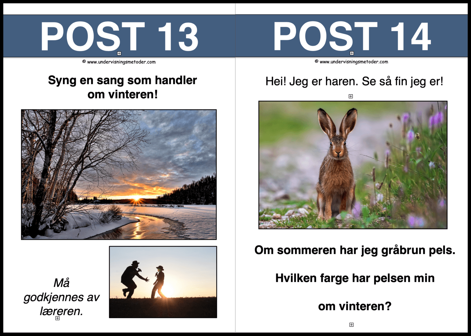 NATURSTI: ÅRSTIDEN VINTER - 15 poster om dyr, fugler, insekter, vær ...
