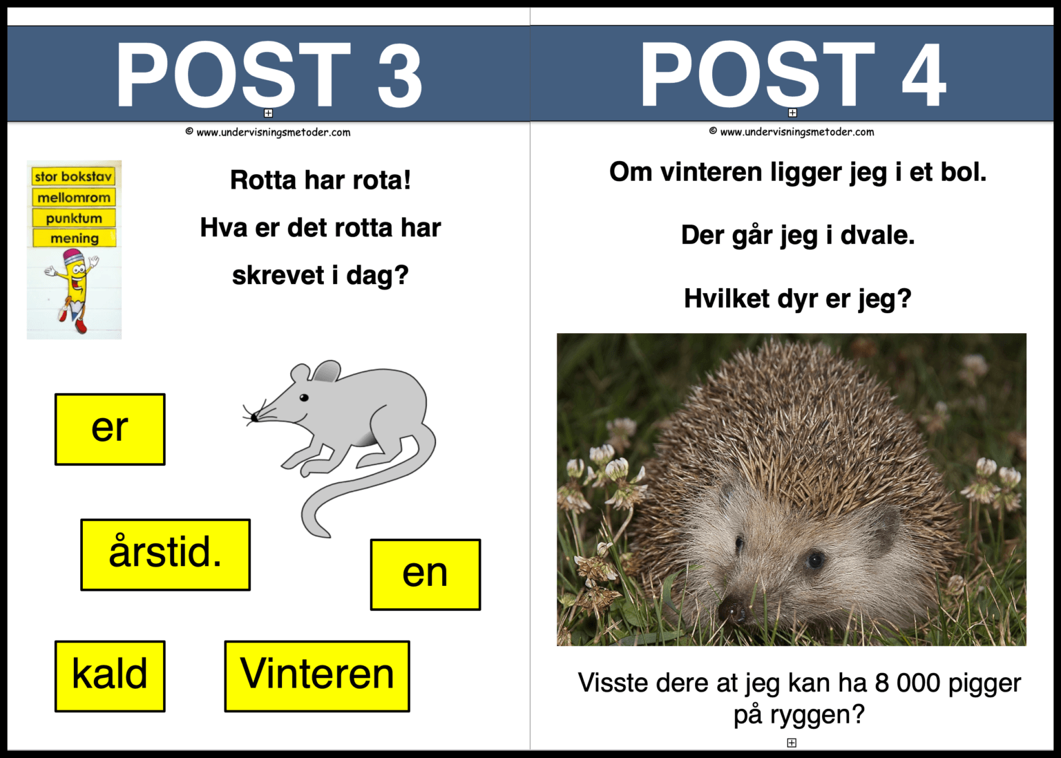 NATURSTI: ÅRSTIDEN VINTER - 15 poster om dyr, fugler, insekter, vær & klær! - UNDERVISNINGSMETODER