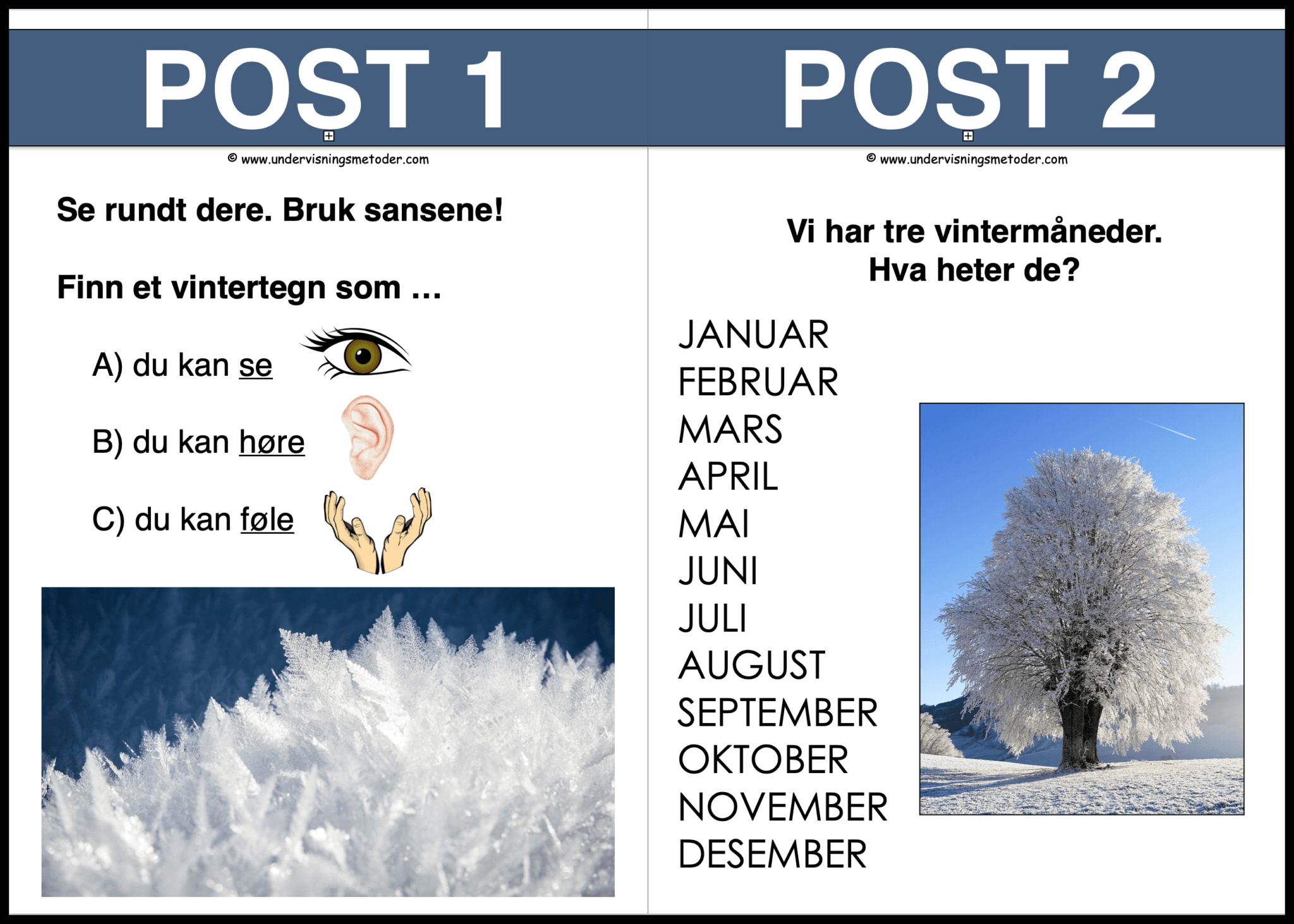 NATURSTI: ÅRSTIDEN VINTER - 15 poster om dyr, fugler, insekter, vær & klær! - UNDERVISNINGSMETODER