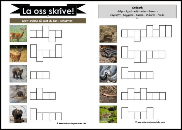 Skogsdyr - UNDERVISNINGSMETODER