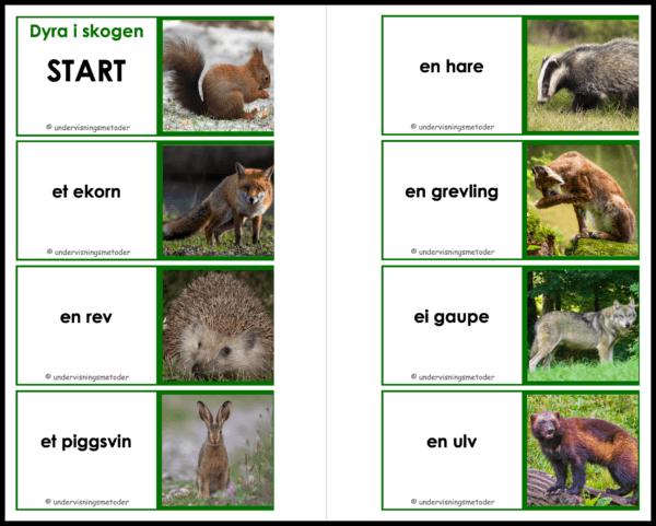 Skogsdyr - UNDERVISNINGSMETODER