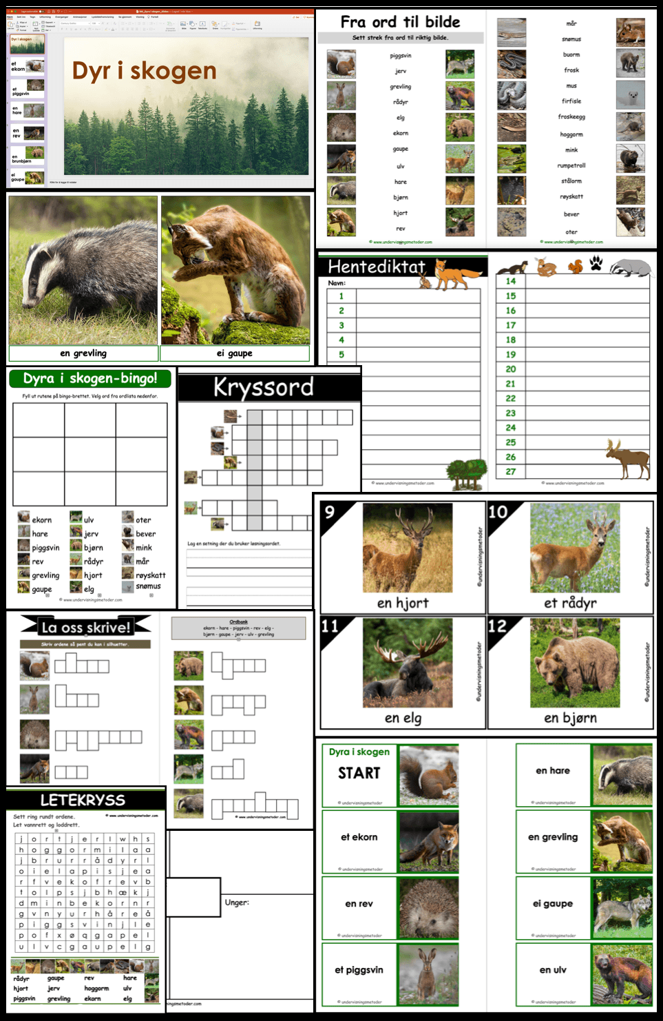 DYR I SKOGEN: Ordliste, powerpointer, ord-og bildekort, skriveoppgaver ...