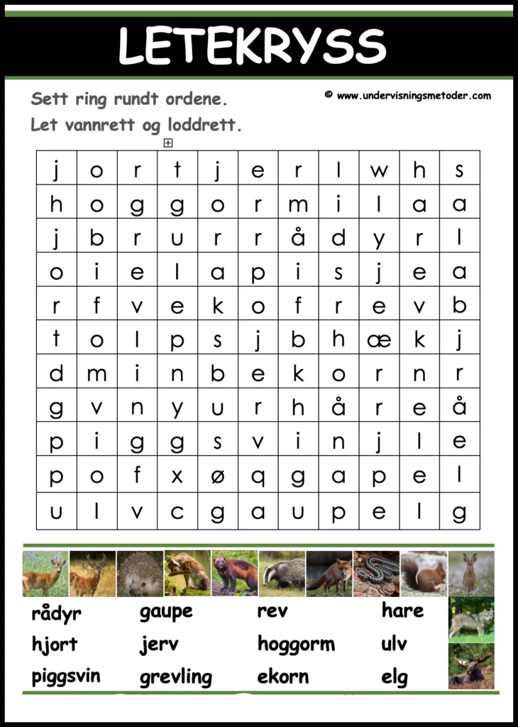Skogsdyr - UNDERVISNINGSMETODER
