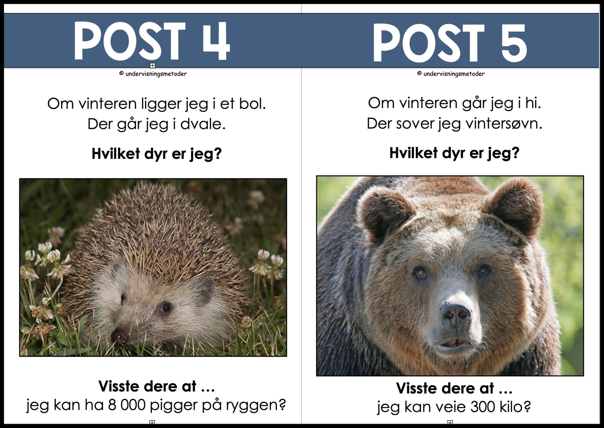 NATURSTI - Årstiden vinter - UNDERVISNINGSMETODER