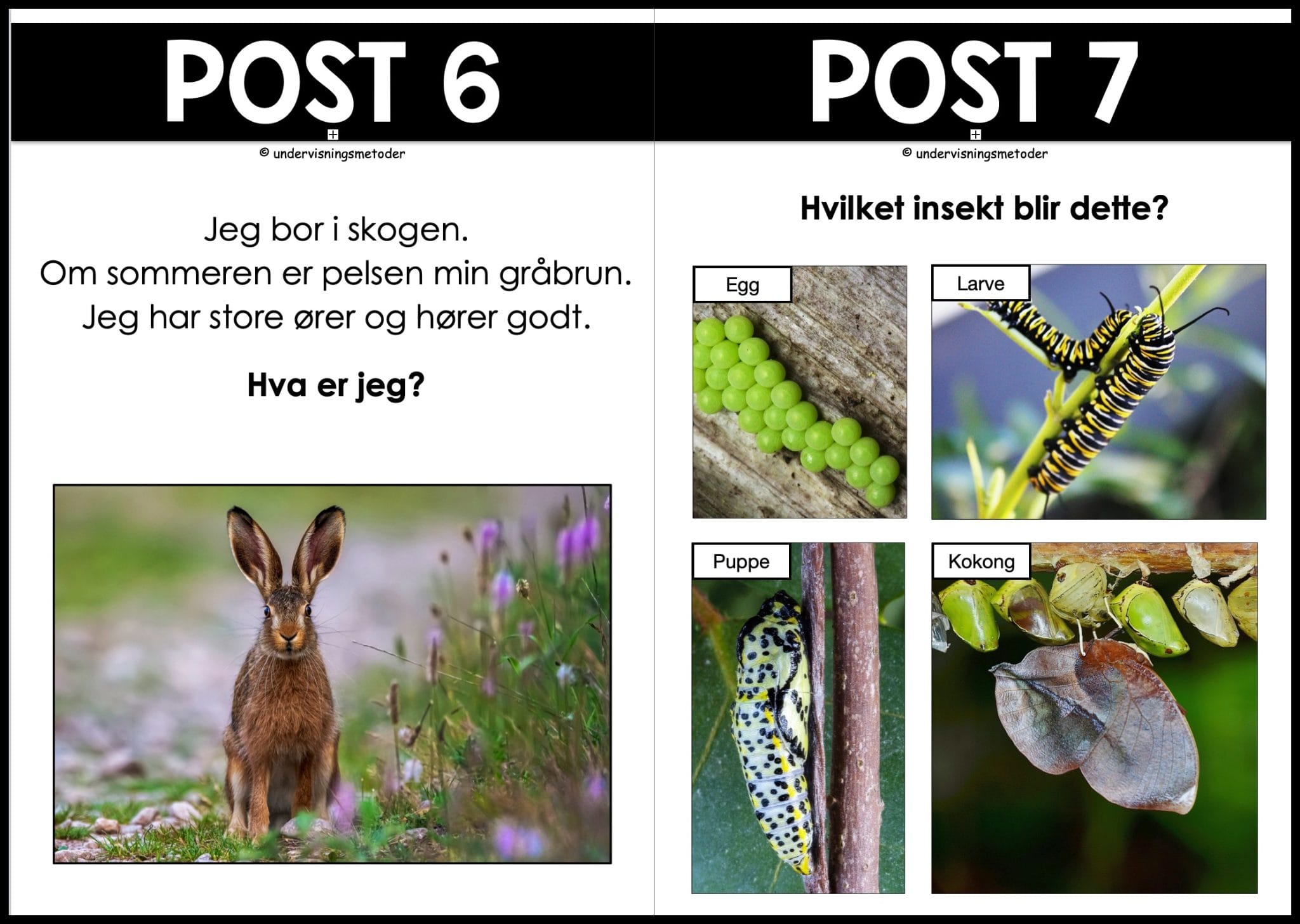 NATURSTI - Årstiden sommer - UNDERVISNINGSMETODER