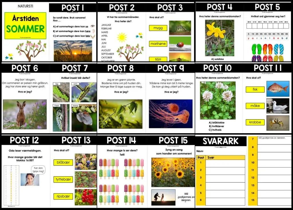 Sommer - UNDERVISNINGSMETODER