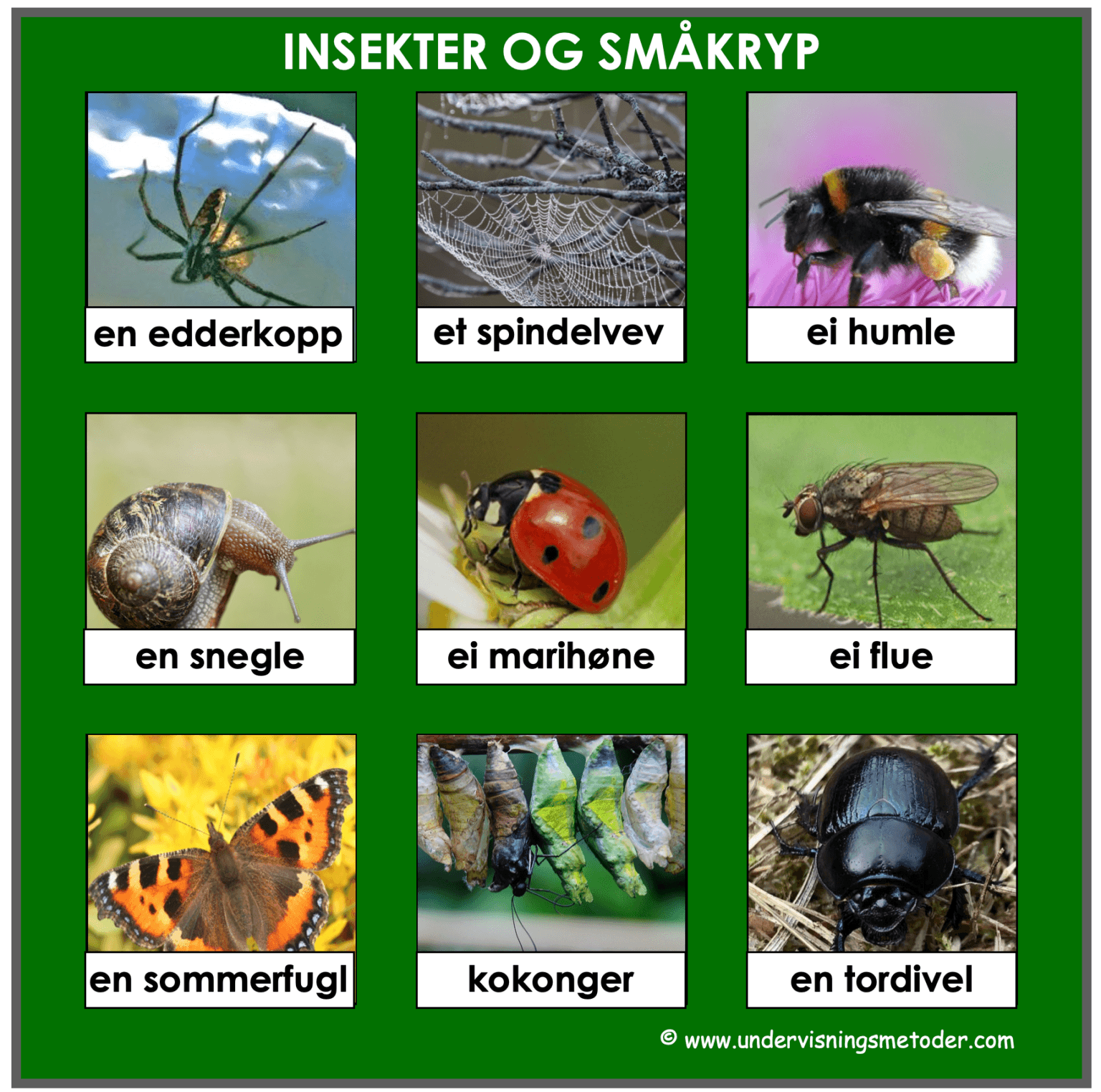 Vår - UNDERVISNINGSMETODER