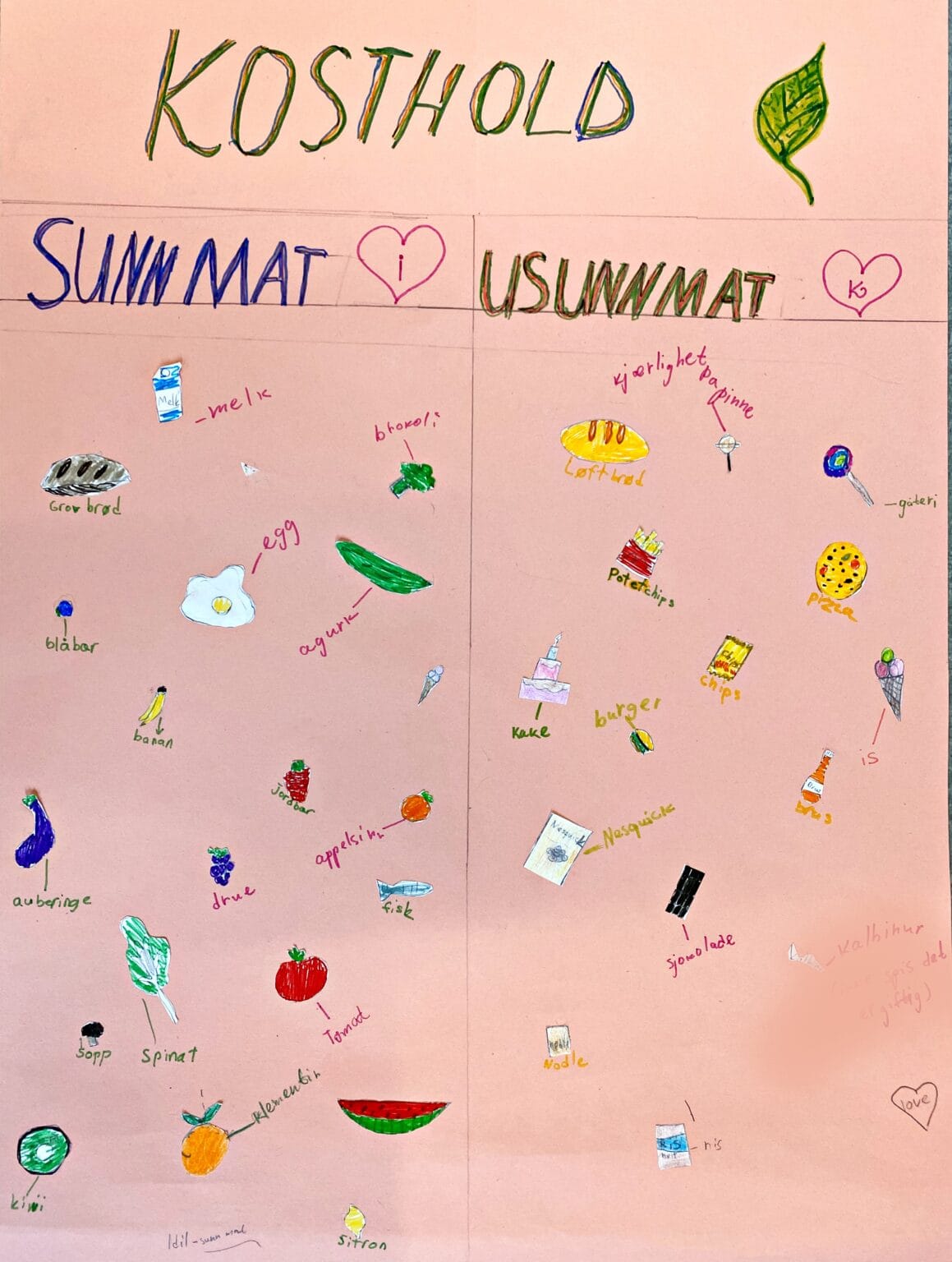 Kosthold - UNDERVISNINGSMETODER