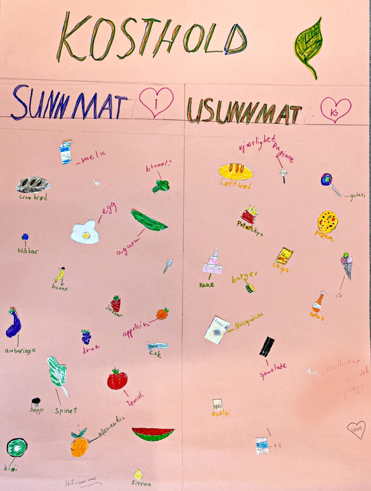 Kosthold - UNDERVISNINGSMETODER