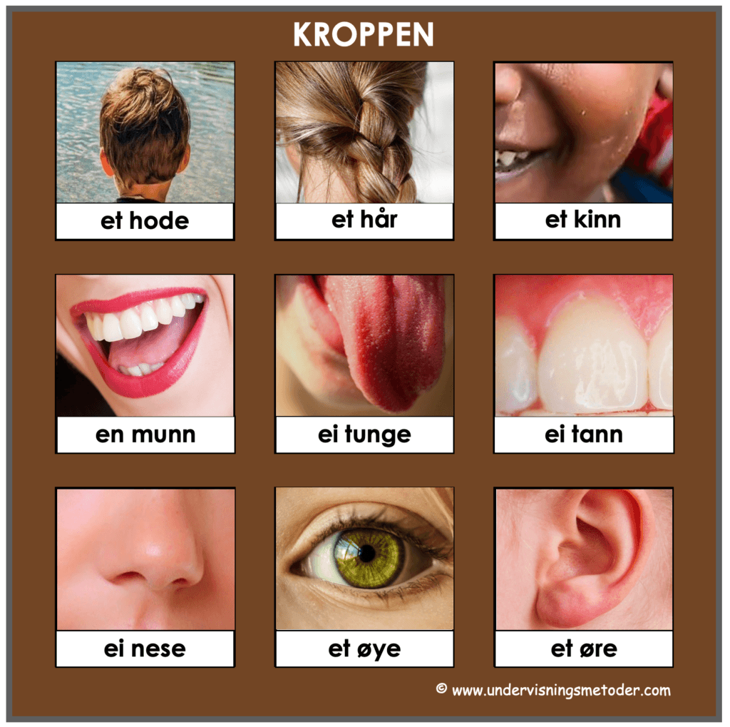 LOTTO: Lær navn på ytre kroppsdeler - UNDERVISNINGSMETODER