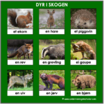 Vinter - UNDERVISNINGSMETODER