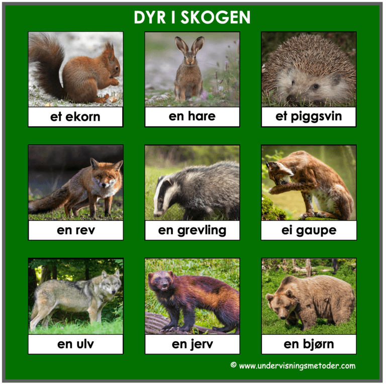 Vår - UNDERVISNINGSMETODER