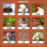 Rimord - UNDERVISNINGSMETODER