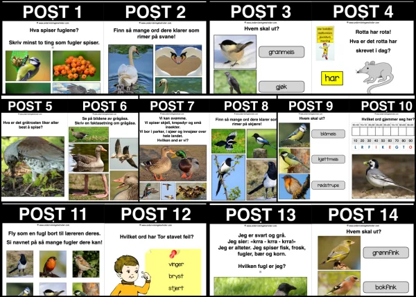 NATURSTI: Fugler - UNDERVISNINGSMETODER