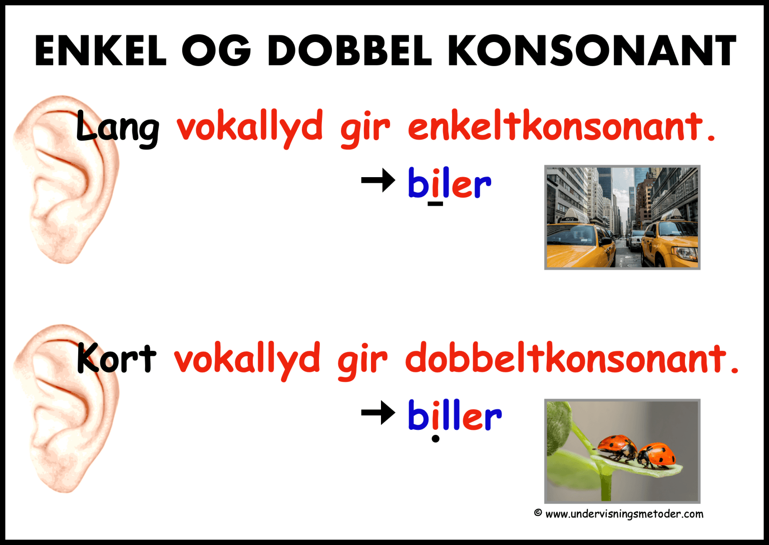 ENKEL-OG DOBBELTKONSONANT: plakat, skriveoppgaver, puslespill, uteskole ...