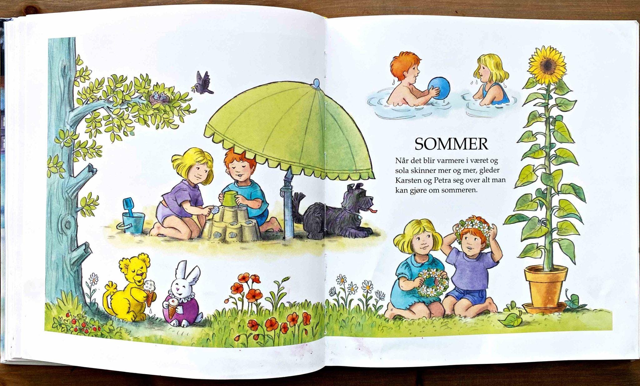 Sommer - UNDERVISNINGSMETODER