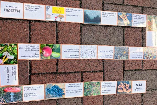 Vinter - UNDERVISNINGSMETODER