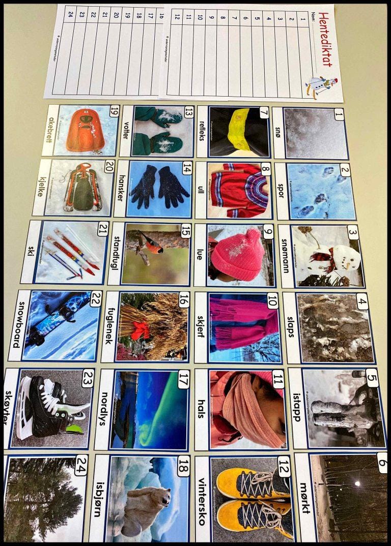 Vinter - UNDERVISNINGSMETODER