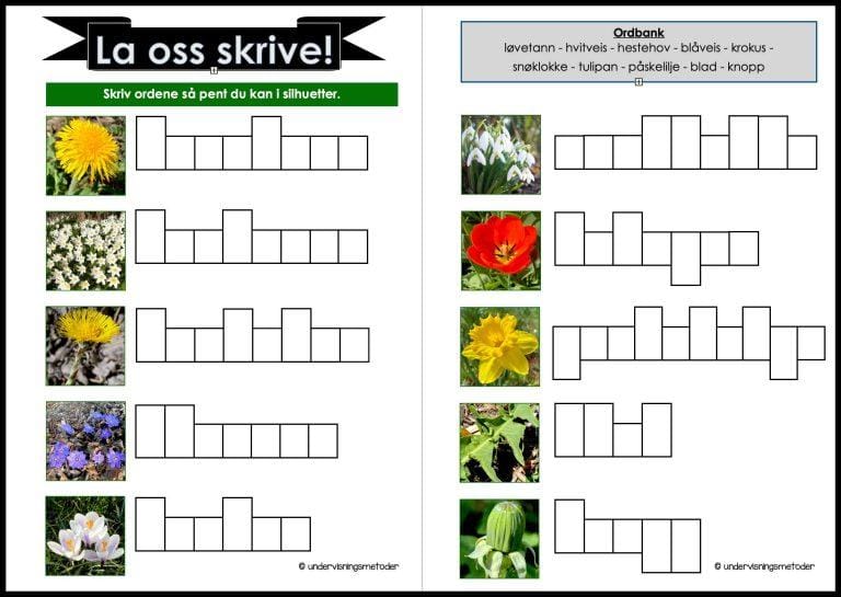 Vårblomster - UNDERVISNINGSMETODER