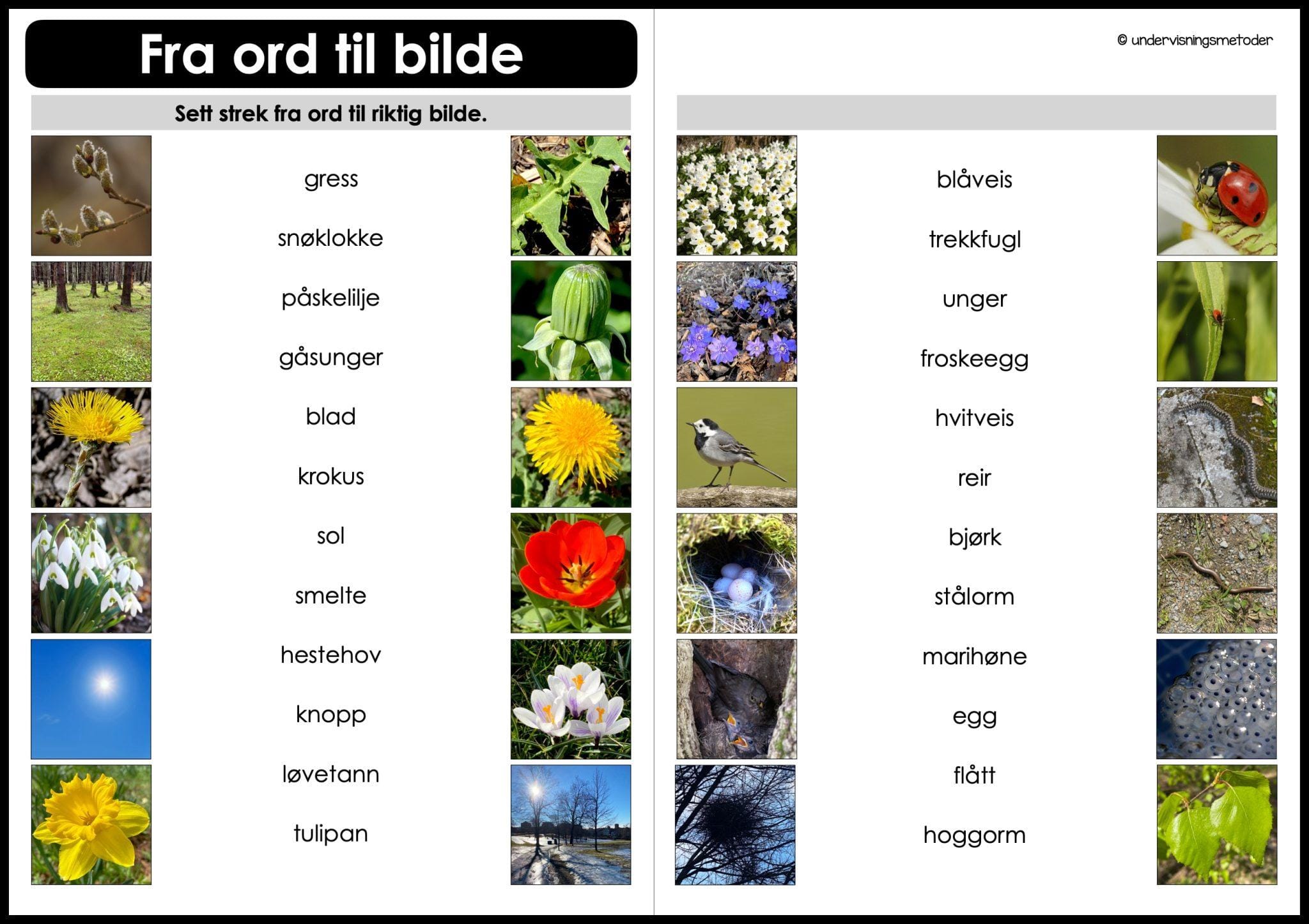 Vår - UNDERVISNINGSMETODER