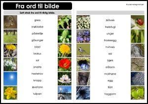 Vår - UNDERVISNINGSMETODER