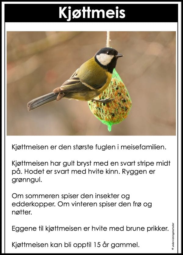 FAKTATEKSTER: Fugler i Norge - UNDERVISNINGSMETODER