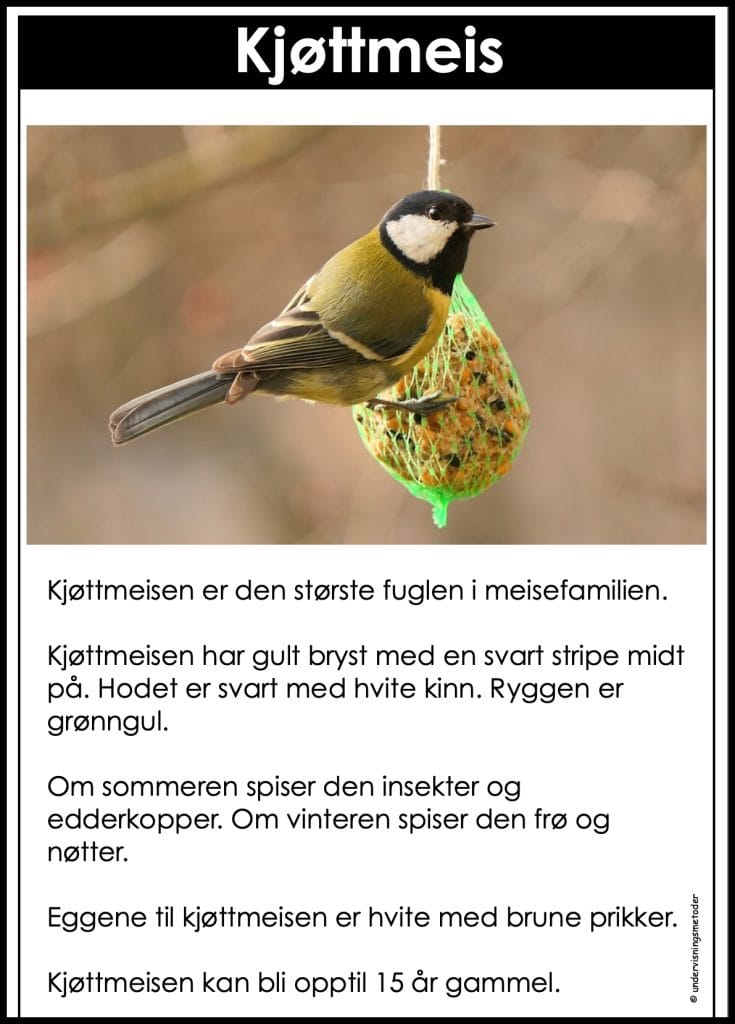 FAKTATEKSTER: Fugler i Norge - UNDERVISNINGSMETODER