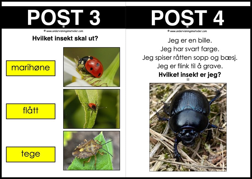 NATURSTI: Insekter og småkryp - UNDERVISNINGSMETODER