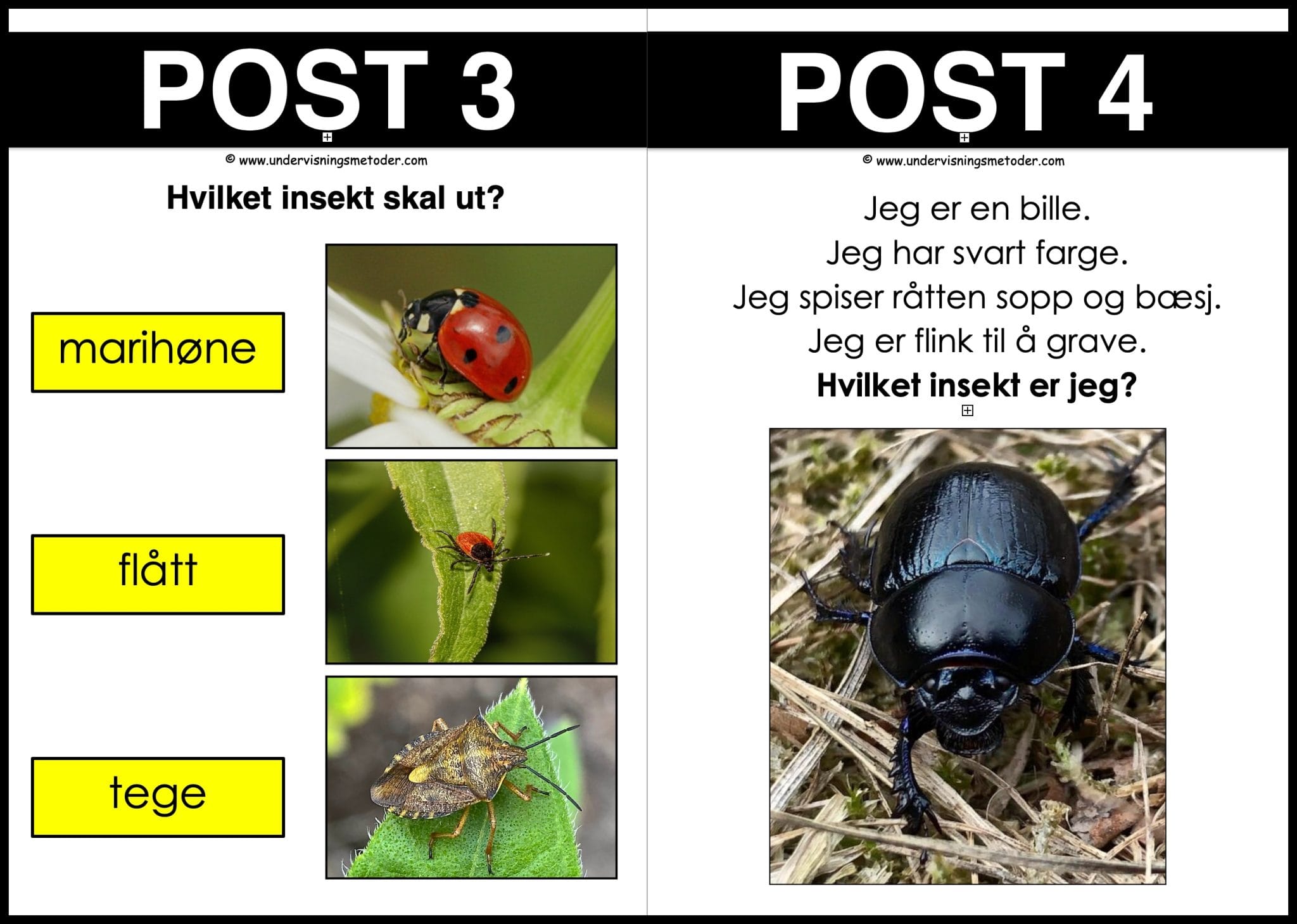 NATURSTI: Insekter og småkryp - UNDERVISNINGSMETODER