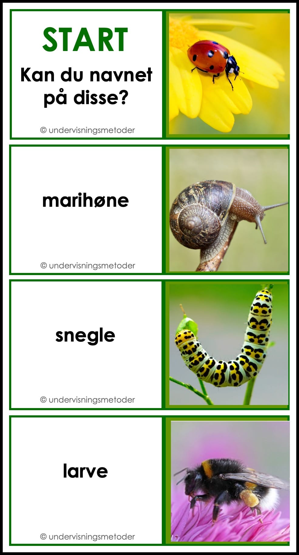 Insekter og småkryp - UNDERVISNINGSMETODER
