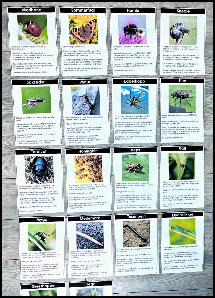 Insekter og småkryp - UNDERVISNINGSMETODER