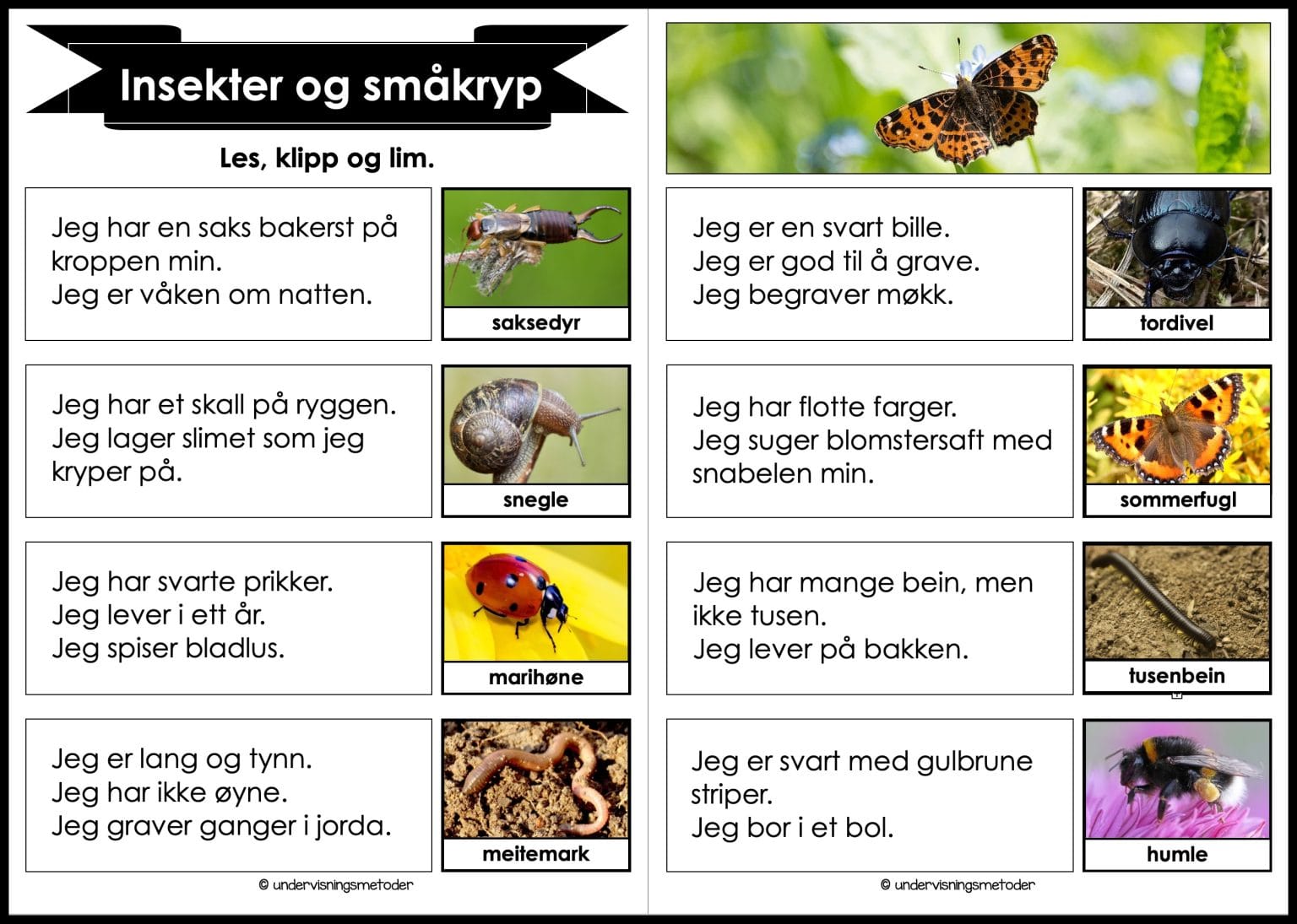 Insekter og småkryp - UNDERVISNINGSMETODER