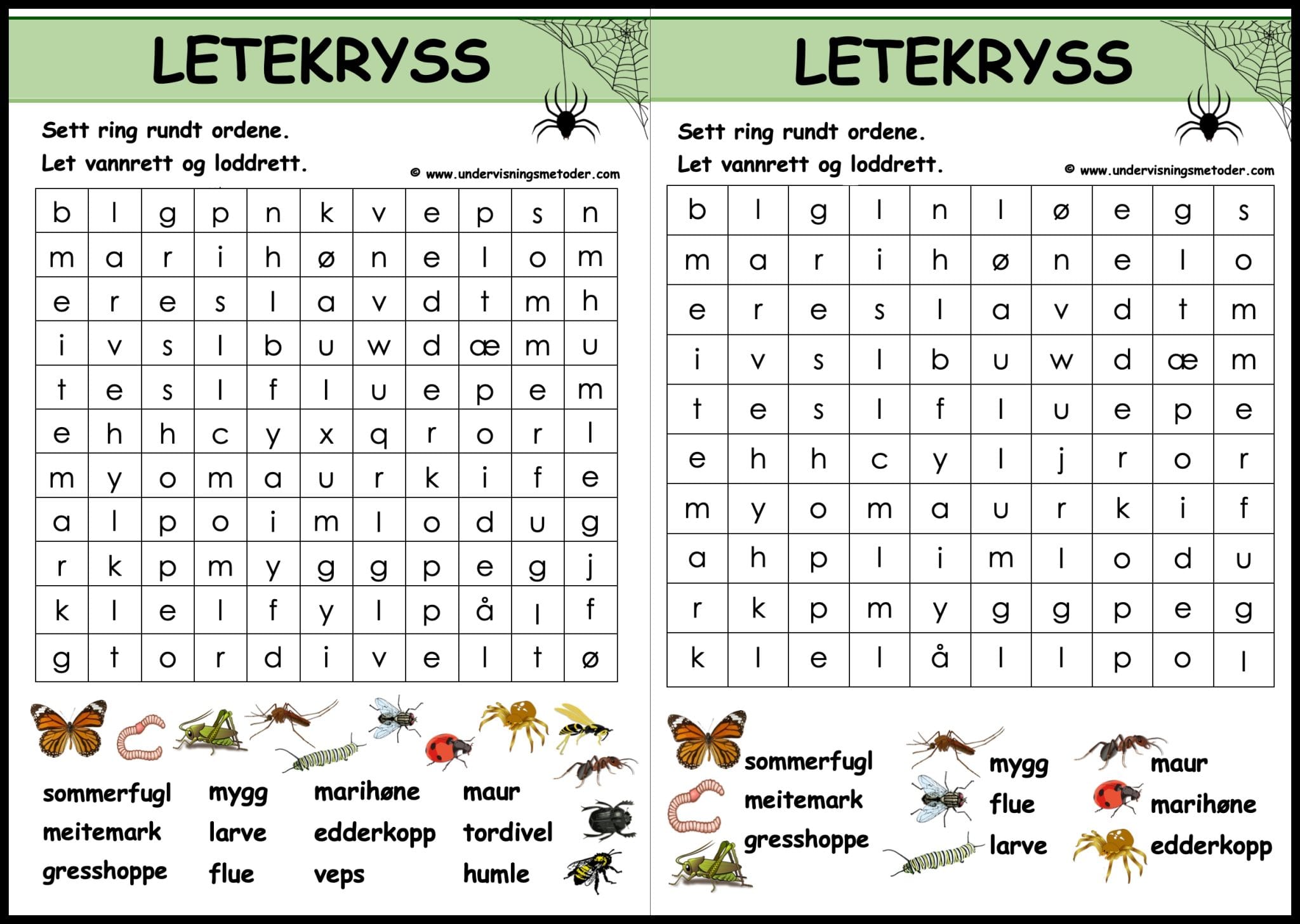 Insekter og småkryp - UNDERVISNINGSMETODER