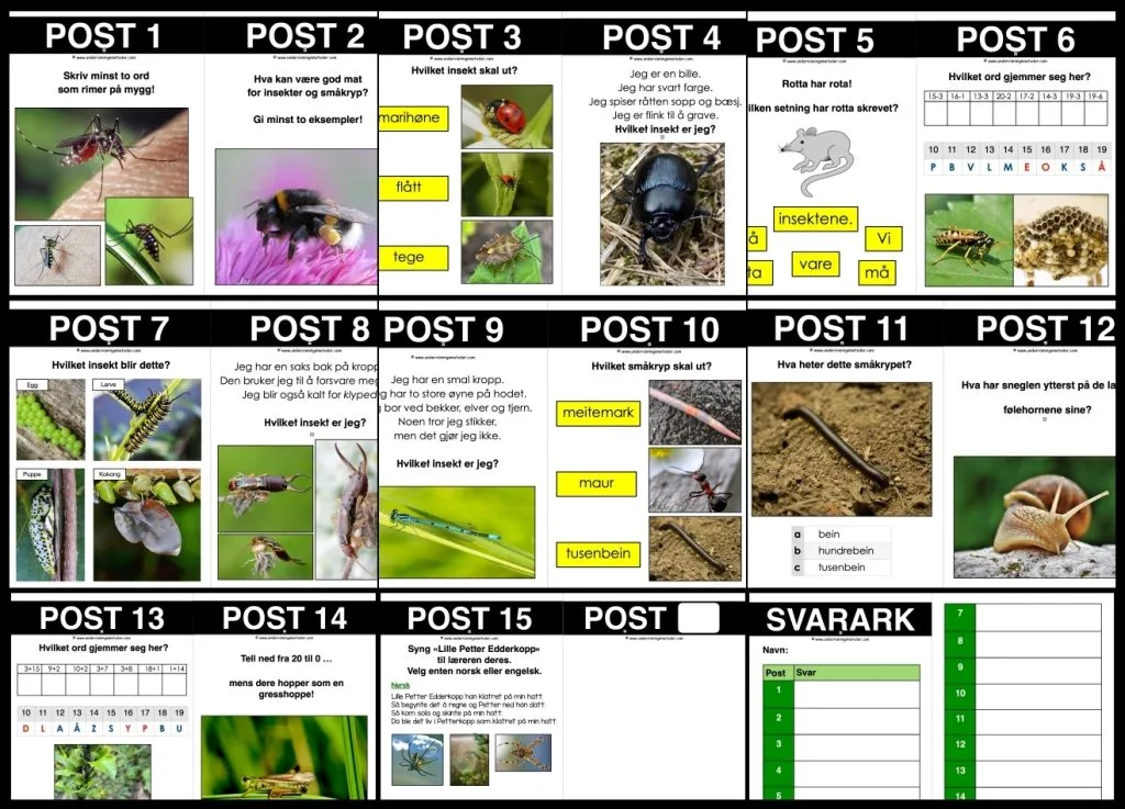 Insekter og småkryp - UNDERVISNINGSMETODER